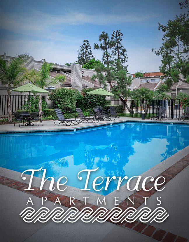 The Terrace Apartments - Ebrochure